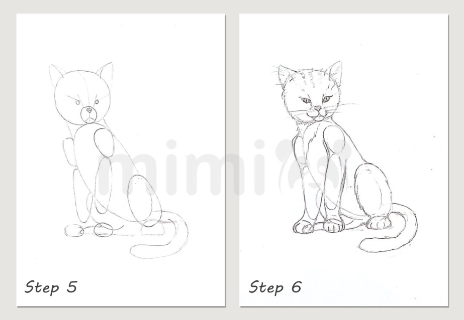 Cat Drawing: Step-by-Step Tutorial | Mimi Panda