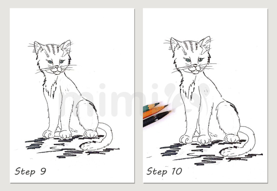 Cat Drawing: Step-by-Step Tutorial | Mimi Panda
