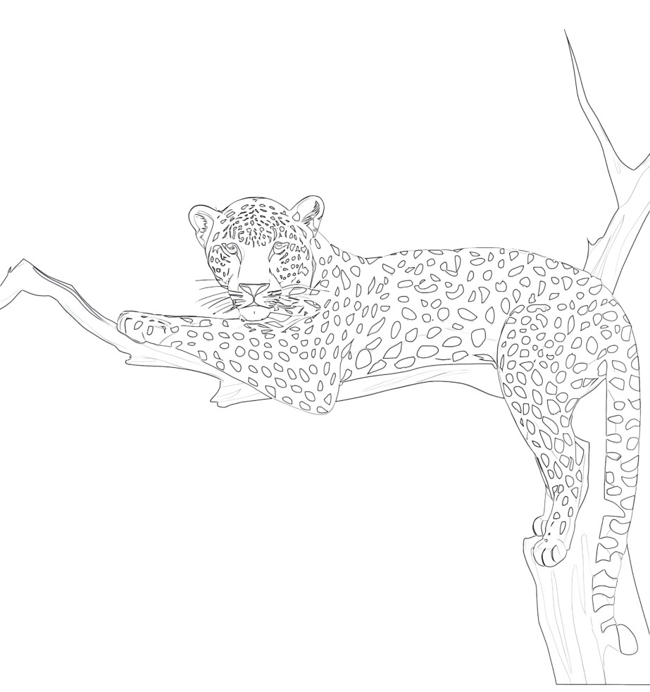 Leopard on a tree coloring page - Mimi Panda