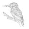 Kingfisher Bird Coloring Page | Coloring Pages Mimi Panda