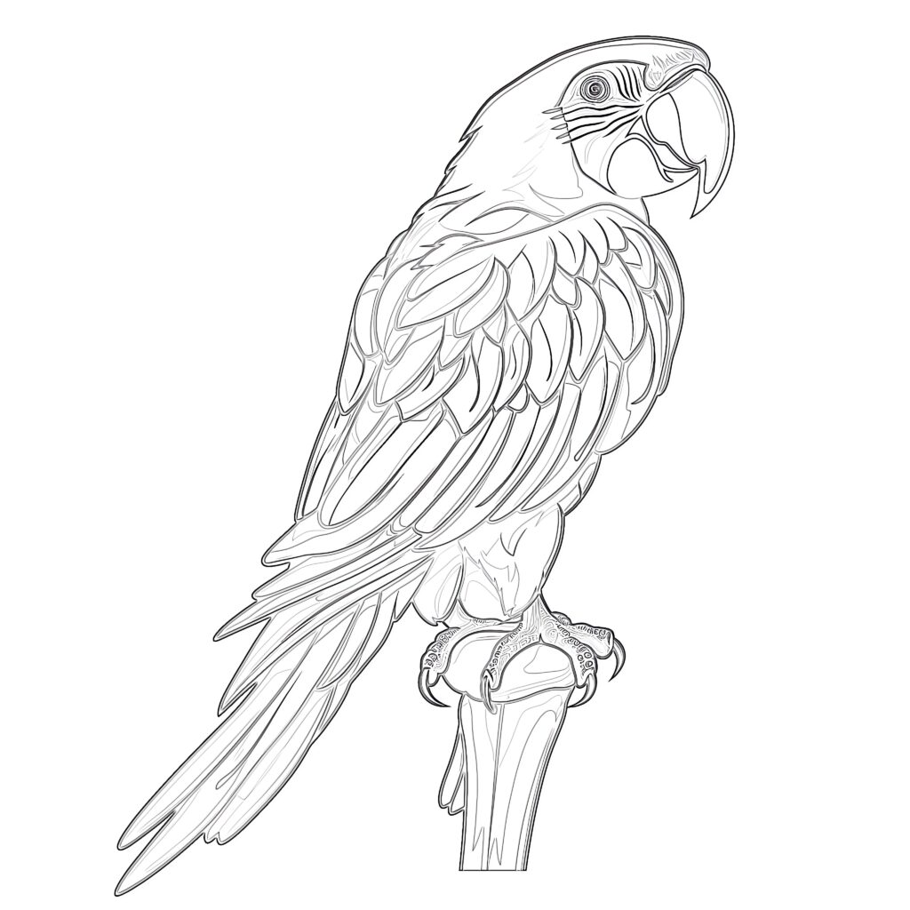 Parrot Coloring Page | Coloring Pages Mimi Panda