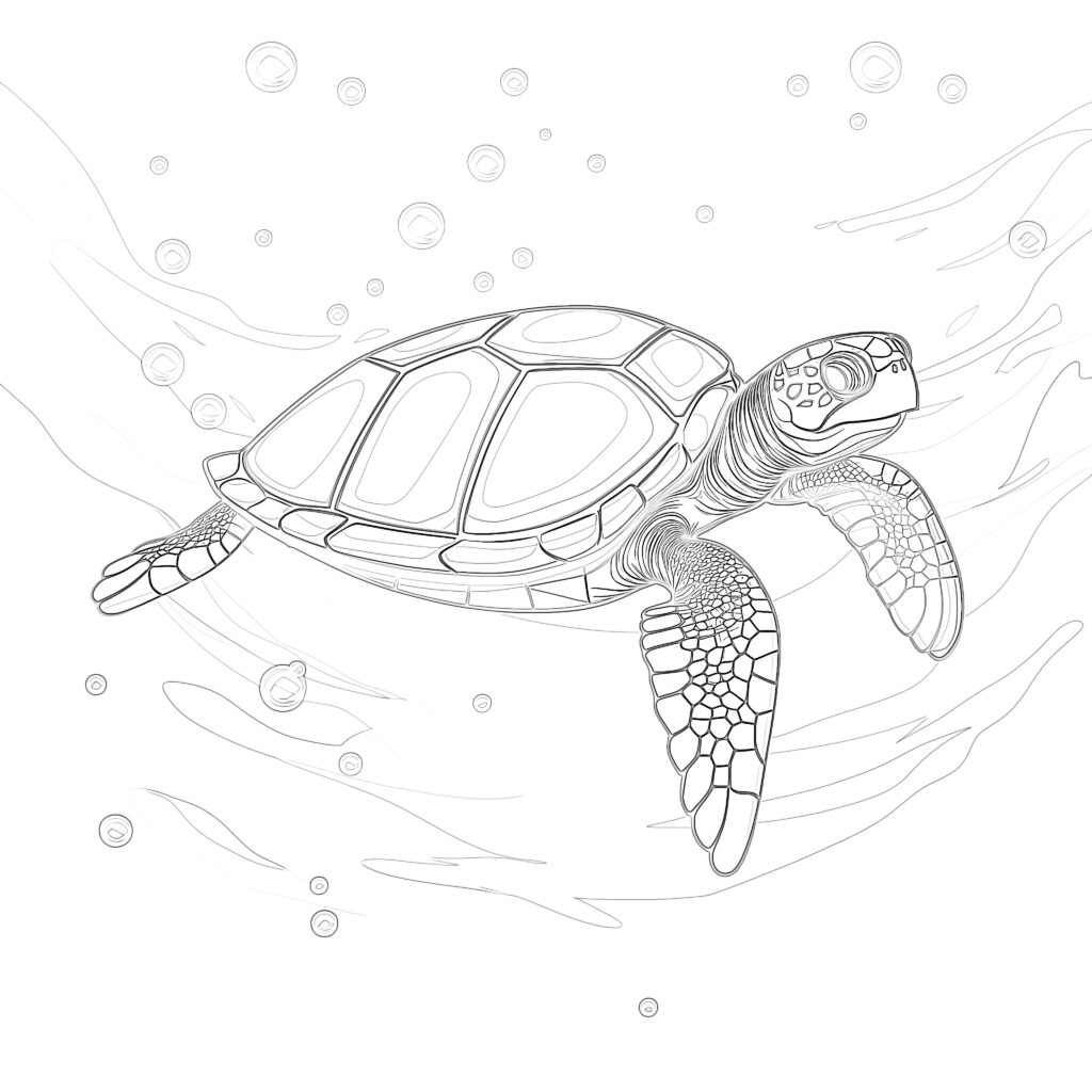 Turtle Coloring Page | Coloring Pages Mimi Panda
