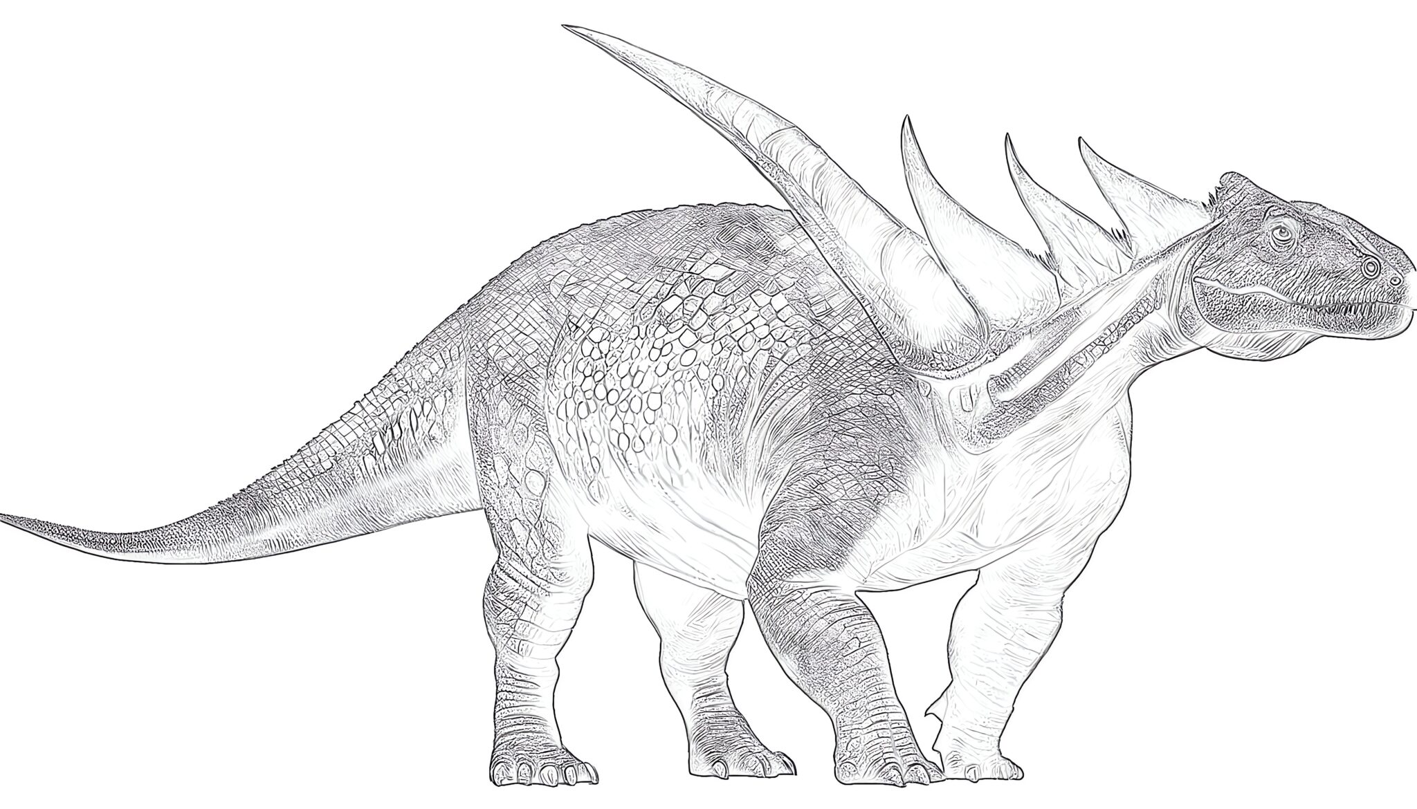 Sauropelta Dinosaur Coloring Page | Coloring Pages Mimi Panda
