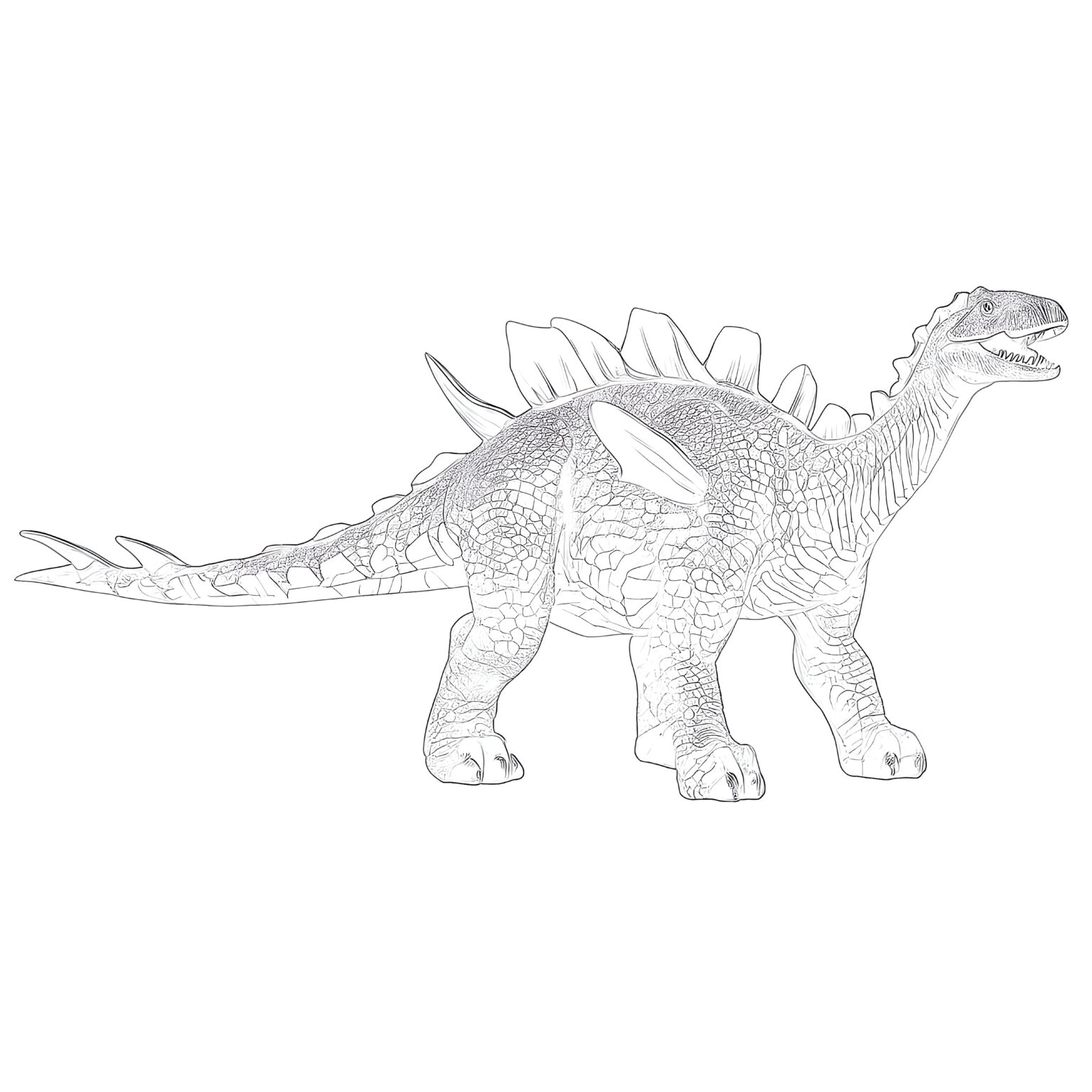Huayangosaurus Coloring Page | Coloring Pages Mimi Panda