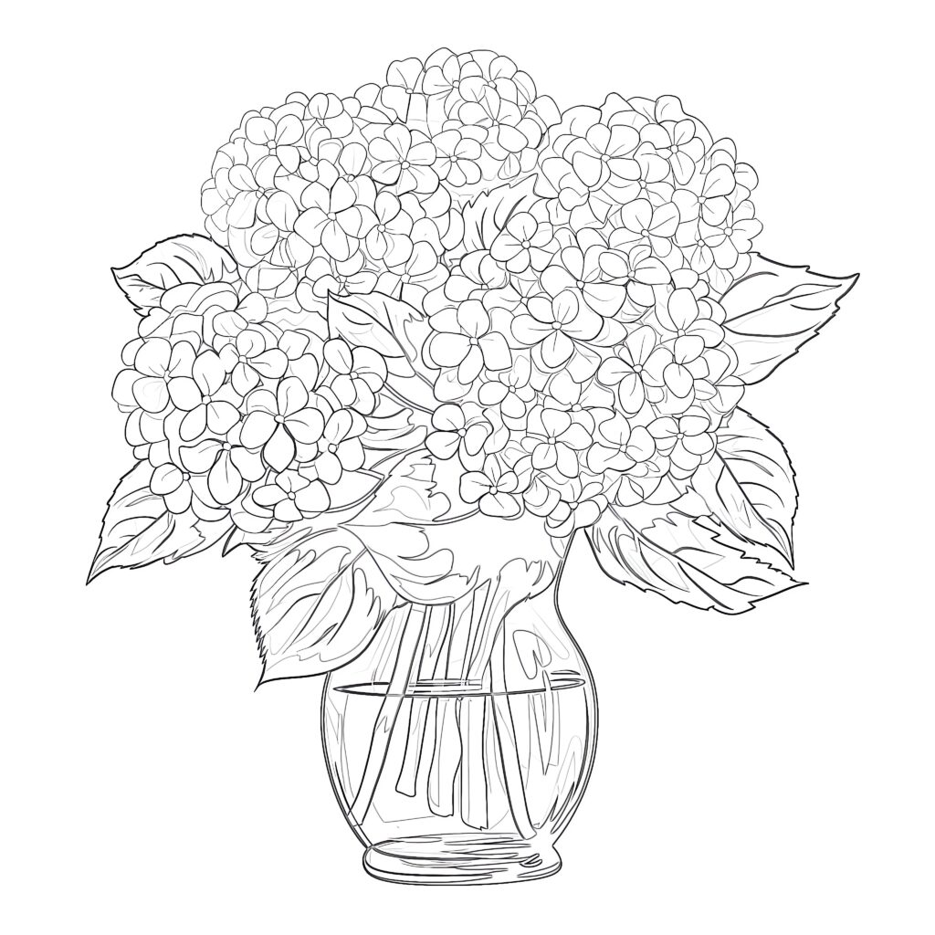 Hydrangea Flower Coloring Page | Coloring Pages Mimi Panda