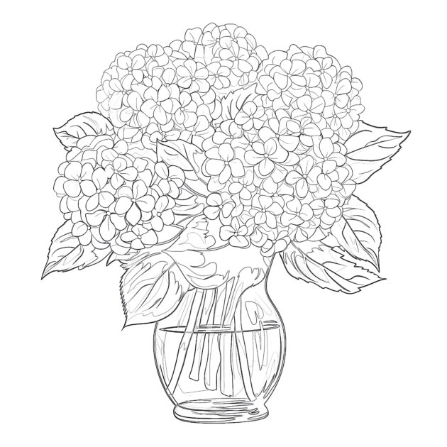 Hydrangea Flower Coloring Page | Coloring Pages Mimi Panda