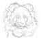 Panda Coloring Page | Coloring Pages Mimi Panda