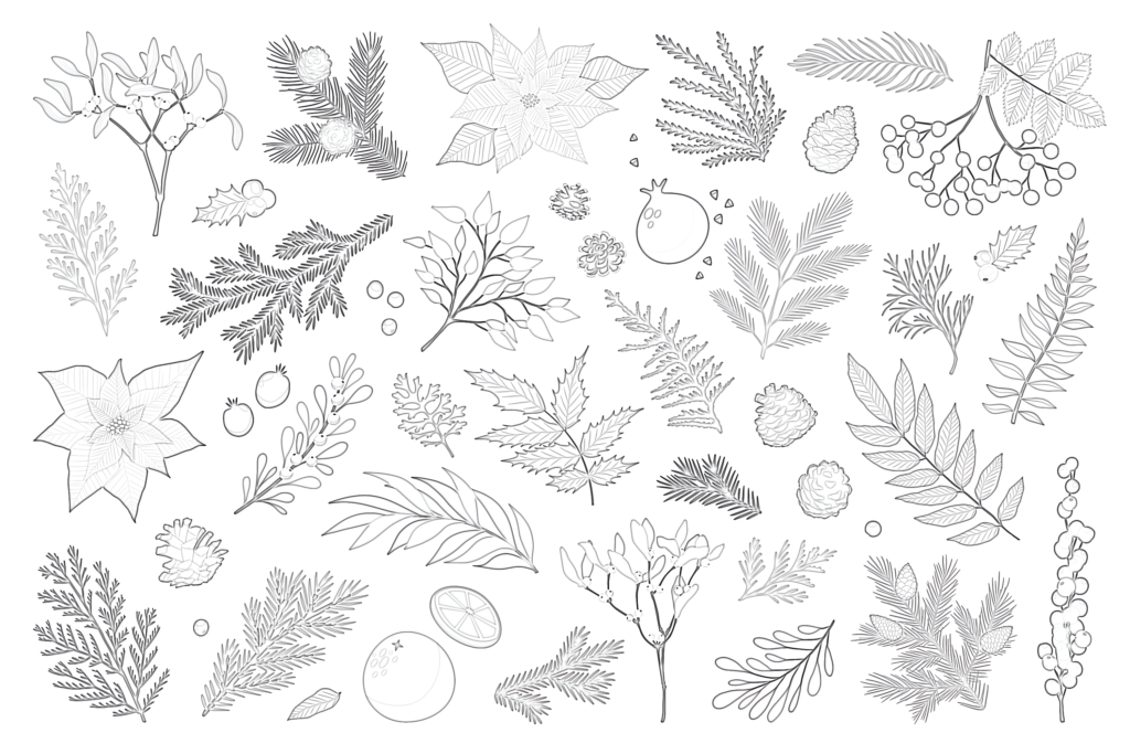 Printable Christmas Plant And Floral Coloring Page - Mimi Panda