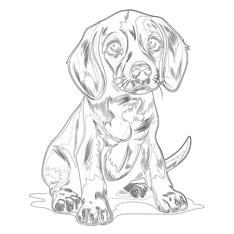 Beagle Dog Coloring Page | Coloring Pages Mimi Panda
