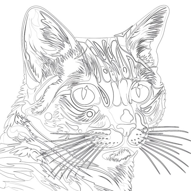 Cat Pop-Art Coloring Page | Coloring Pages Mimi Panda