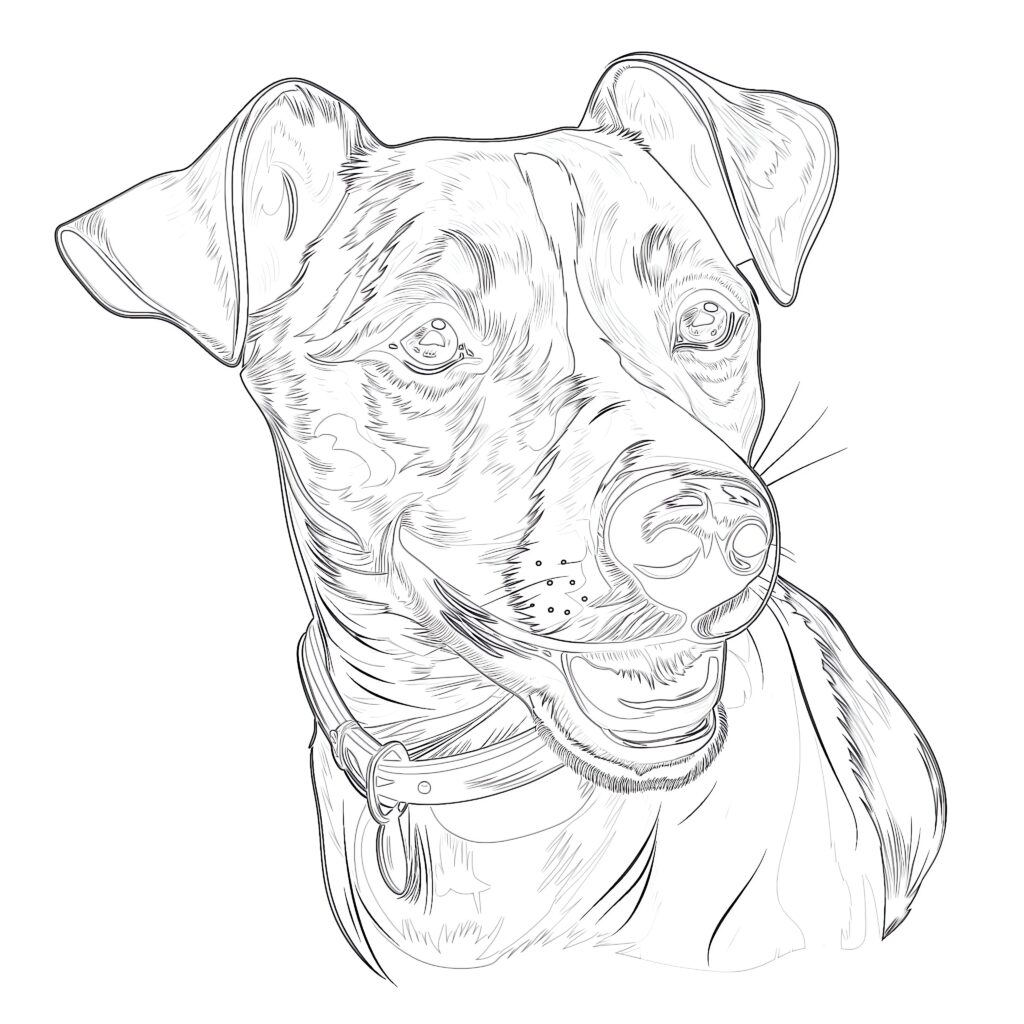 Jack Russel Coloring Page | Coloring Pages Mimi Panda