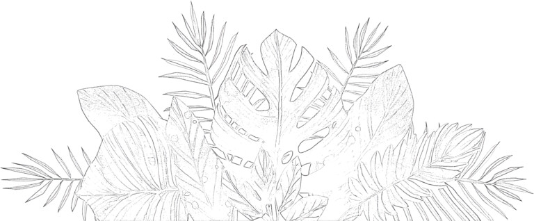 Printable Tropical Leaves Coloring Page - Mimi Panda