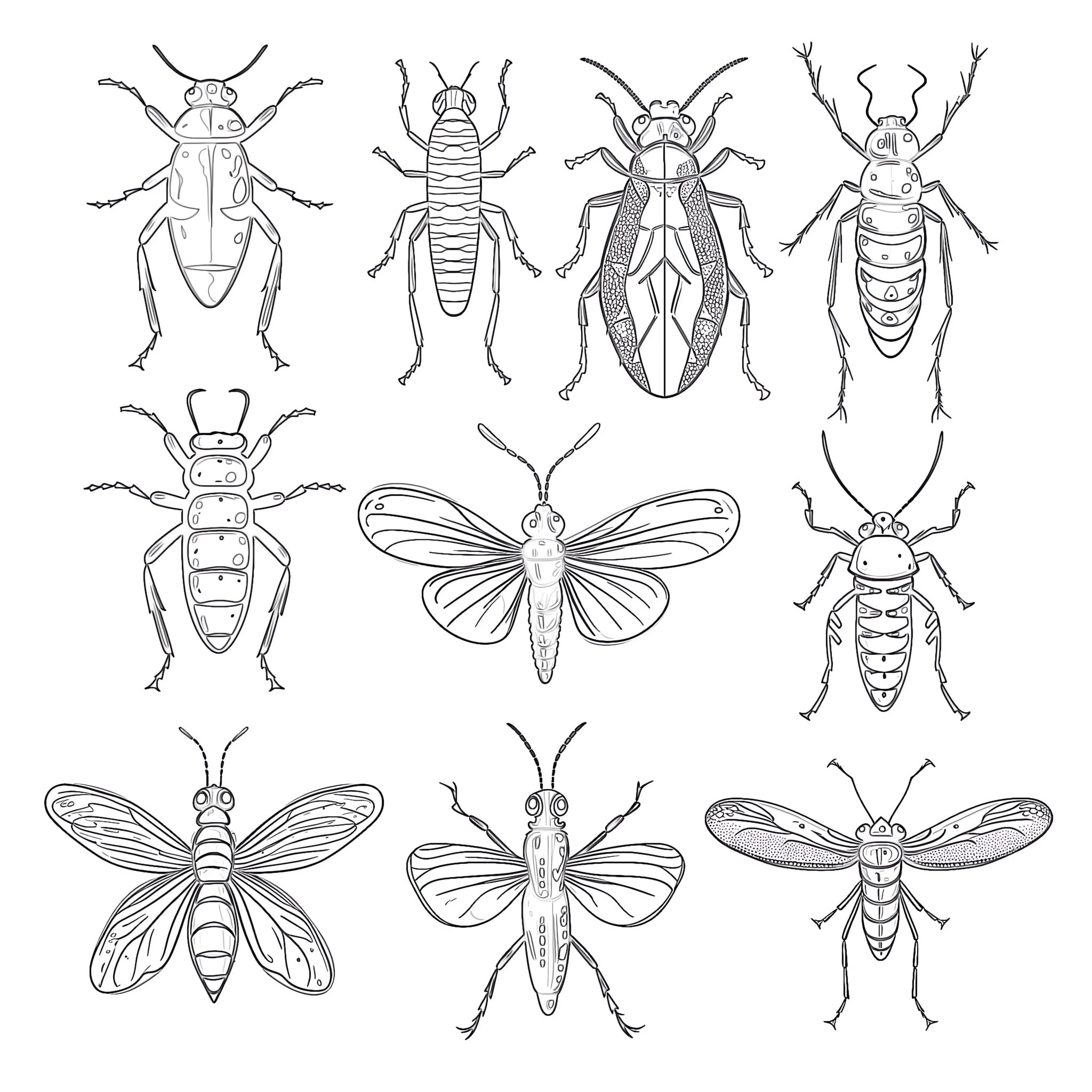 Cute Insects Coloring Page | Coloring Pages Mimi Panda