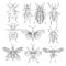 Cute Insects Coloring Page | Coloring Pages Mimi Panda