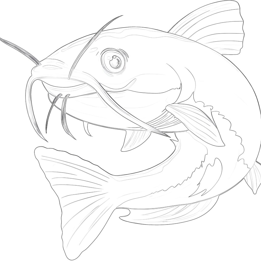 Catfish Cartoon Coloring Page | Coloring Pages Mimi Panda