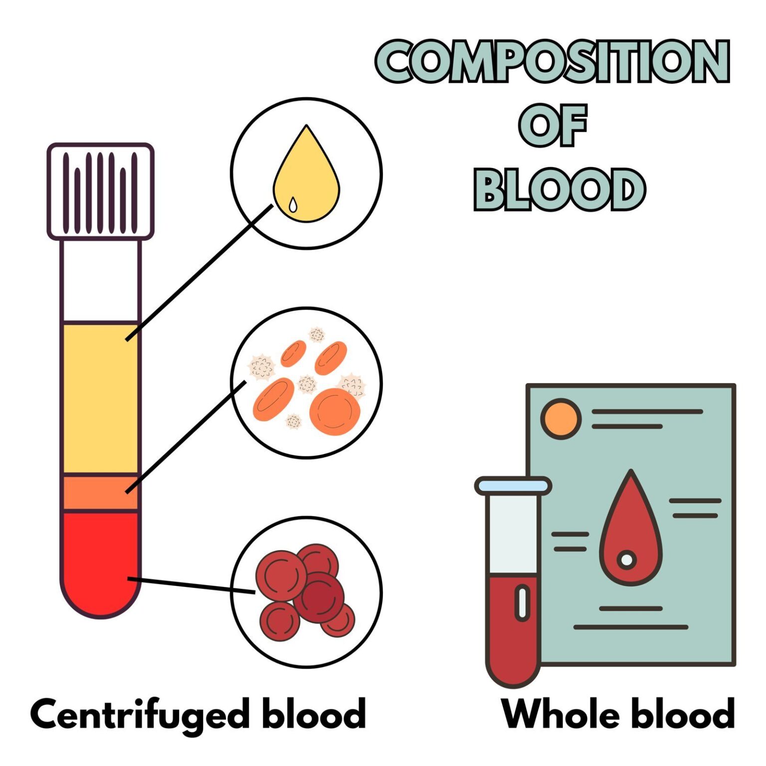 Blood Concept | Coloring Pages Mimi Panda