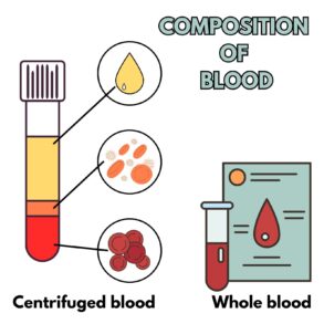 Blood Concept | Coloring Pages Mimi Panda