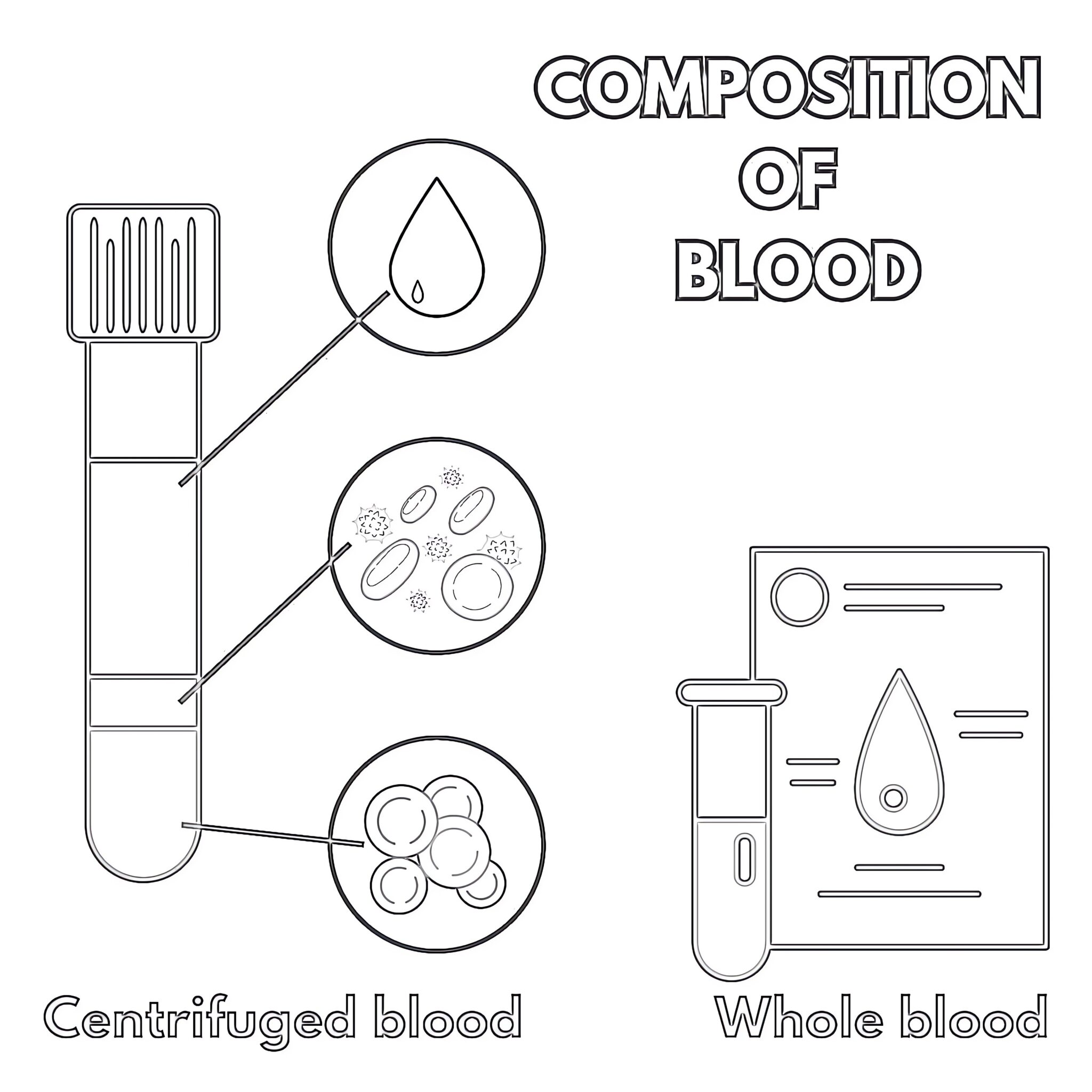 Blood Concept | Coloring Pages Mimi Panda