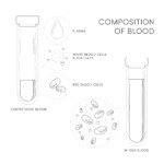 Printable Blood Concept Coloring Page - Mimi Panda