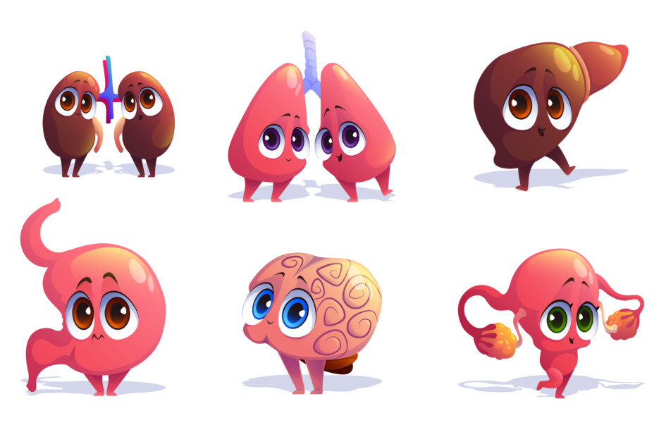 Printable Cute Human Organs Coloring Page - Mimi Panda