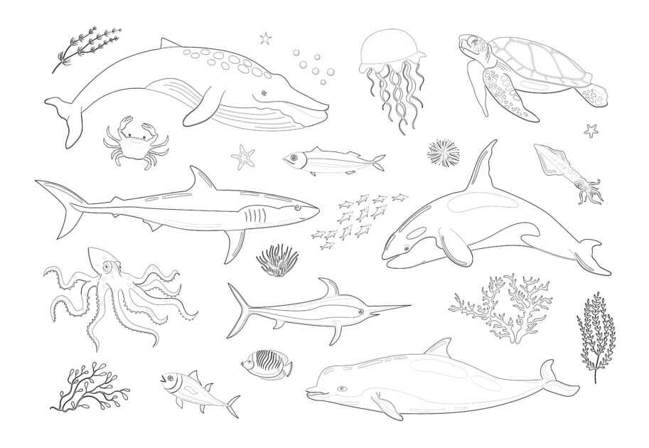 Printable Various Marine Animals Coloring Page - Mimi Panda