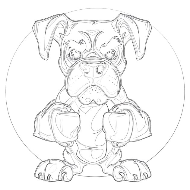 Border Collie Coloring Pages To Print | Coloring Pages Mimi Panda