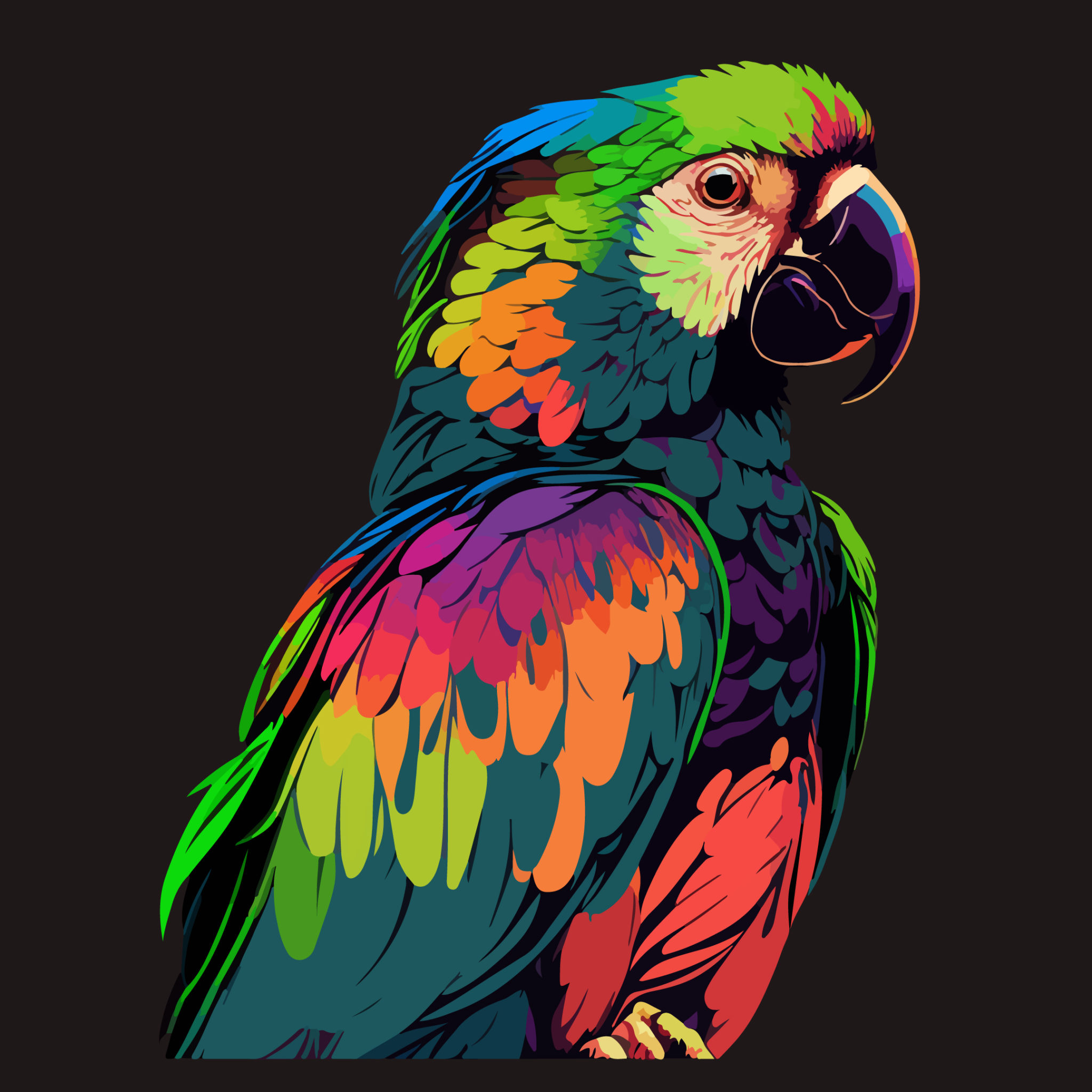 Colorful Parrot | Coloring Pages Mimi Panda