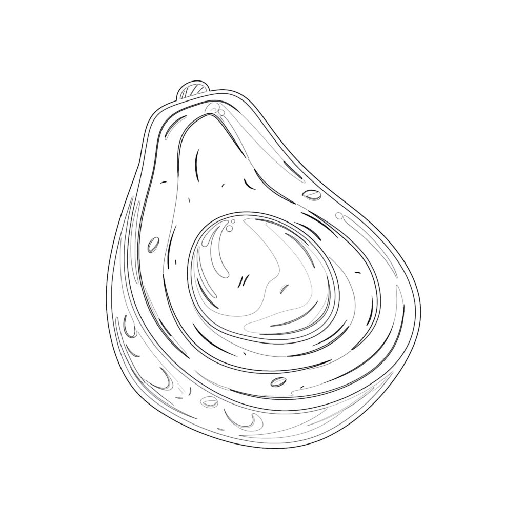 Fresh Avocado Coloring Page | Coloring Pages Mimi Panda