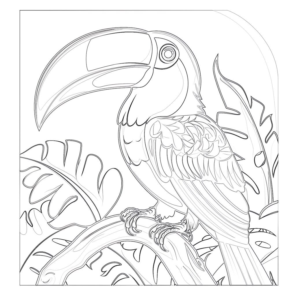 Toucan Summer Bird Coloring Page | Coloring Pages Mimi Panda