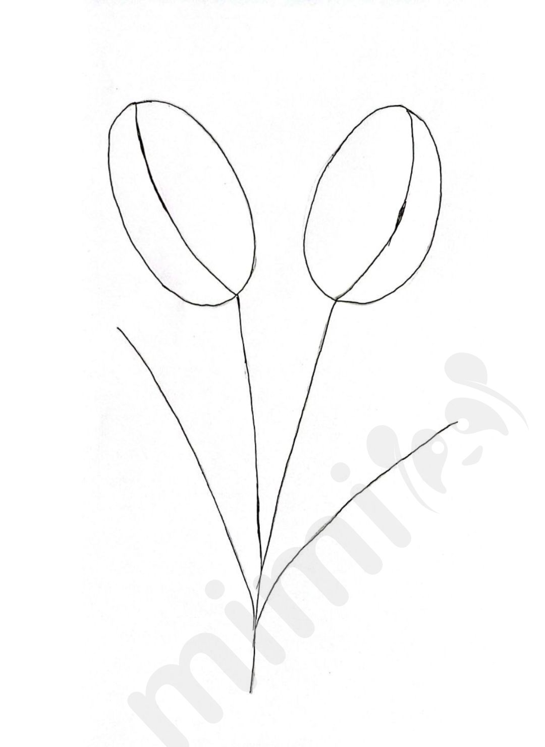 Tulip Drawing Easy Step By Step Tutorial Mimi Panda