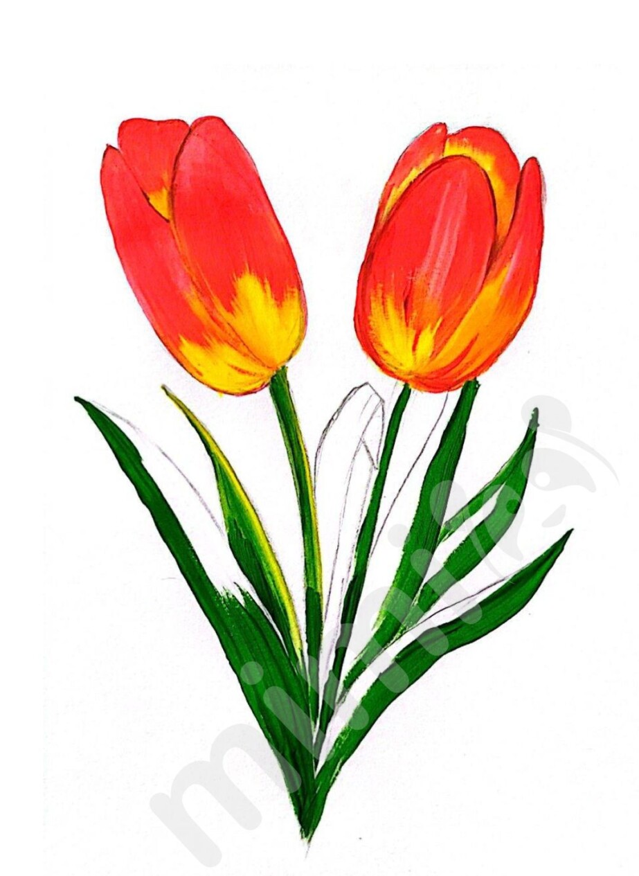 Tulip Drawing: Easy Step-by-Step Tutorial | Mimi Panda