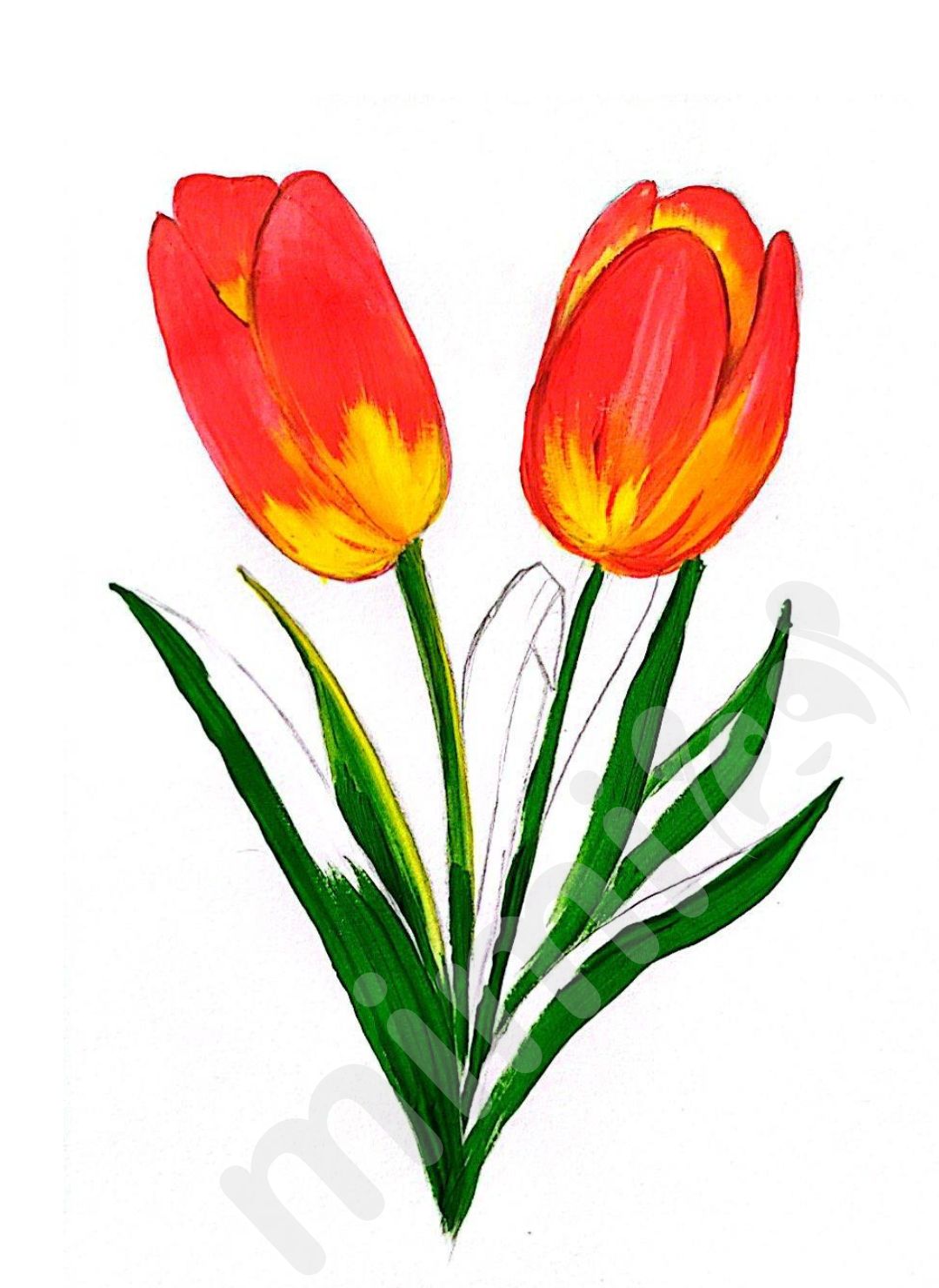 Tulip Drawing: Easy Step-by-Step Tutorial | Mimi Panda