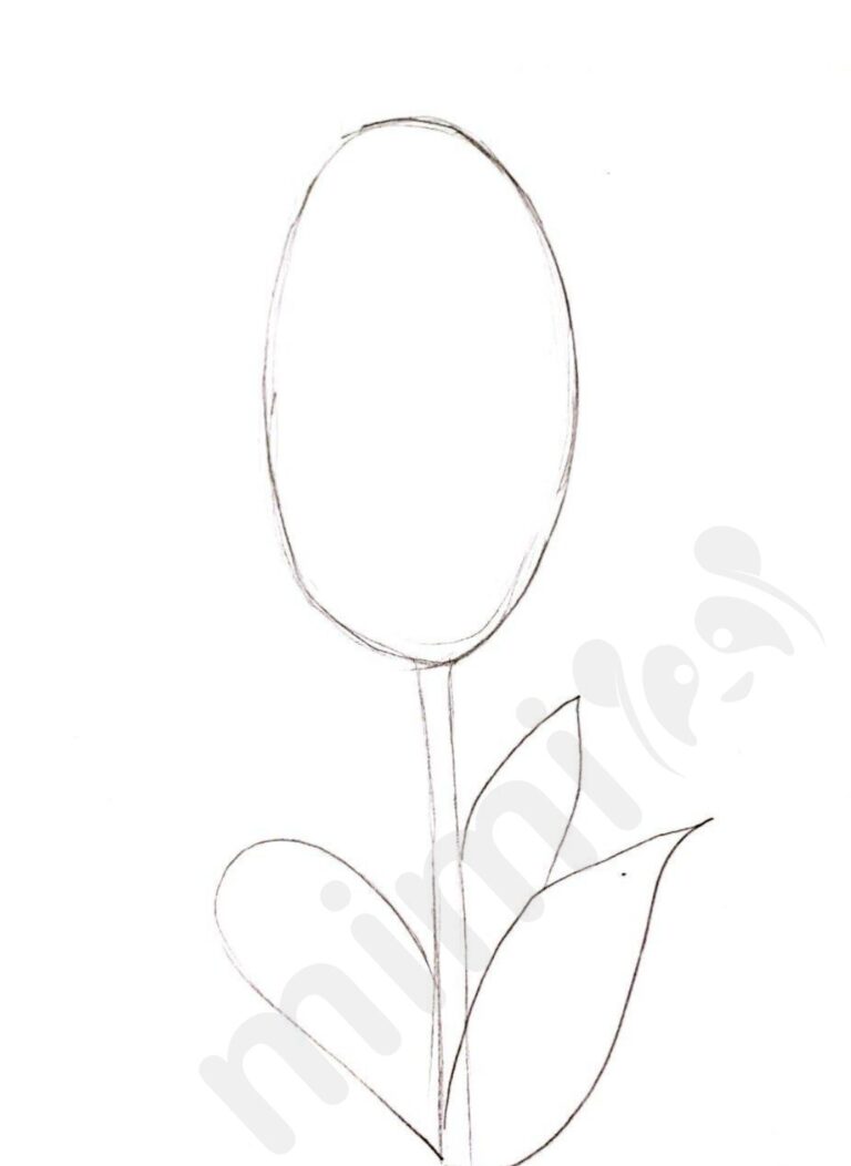 Tulip Drawing: Easy Step-by-Step Tutorial | Mimi Panda