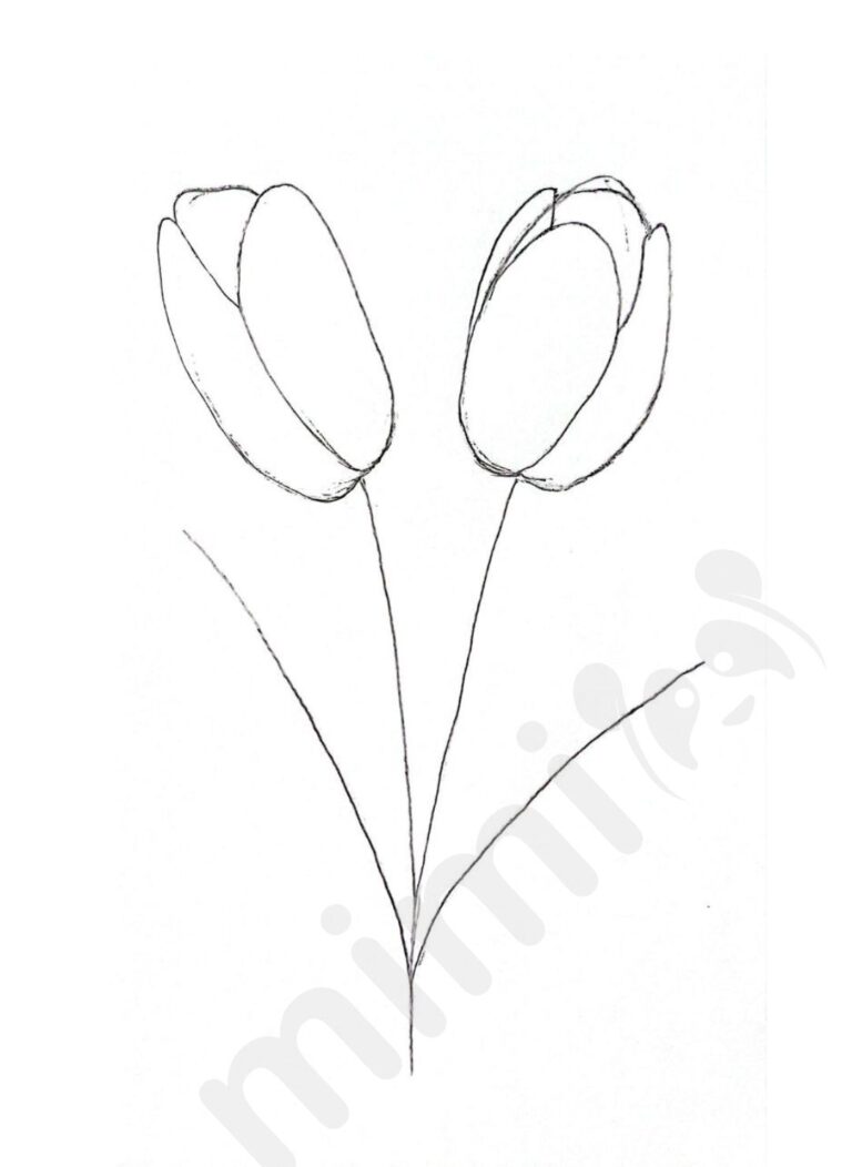Tulip Drawing: Easy Step-by-Step Tutorial | Mimi Panda
