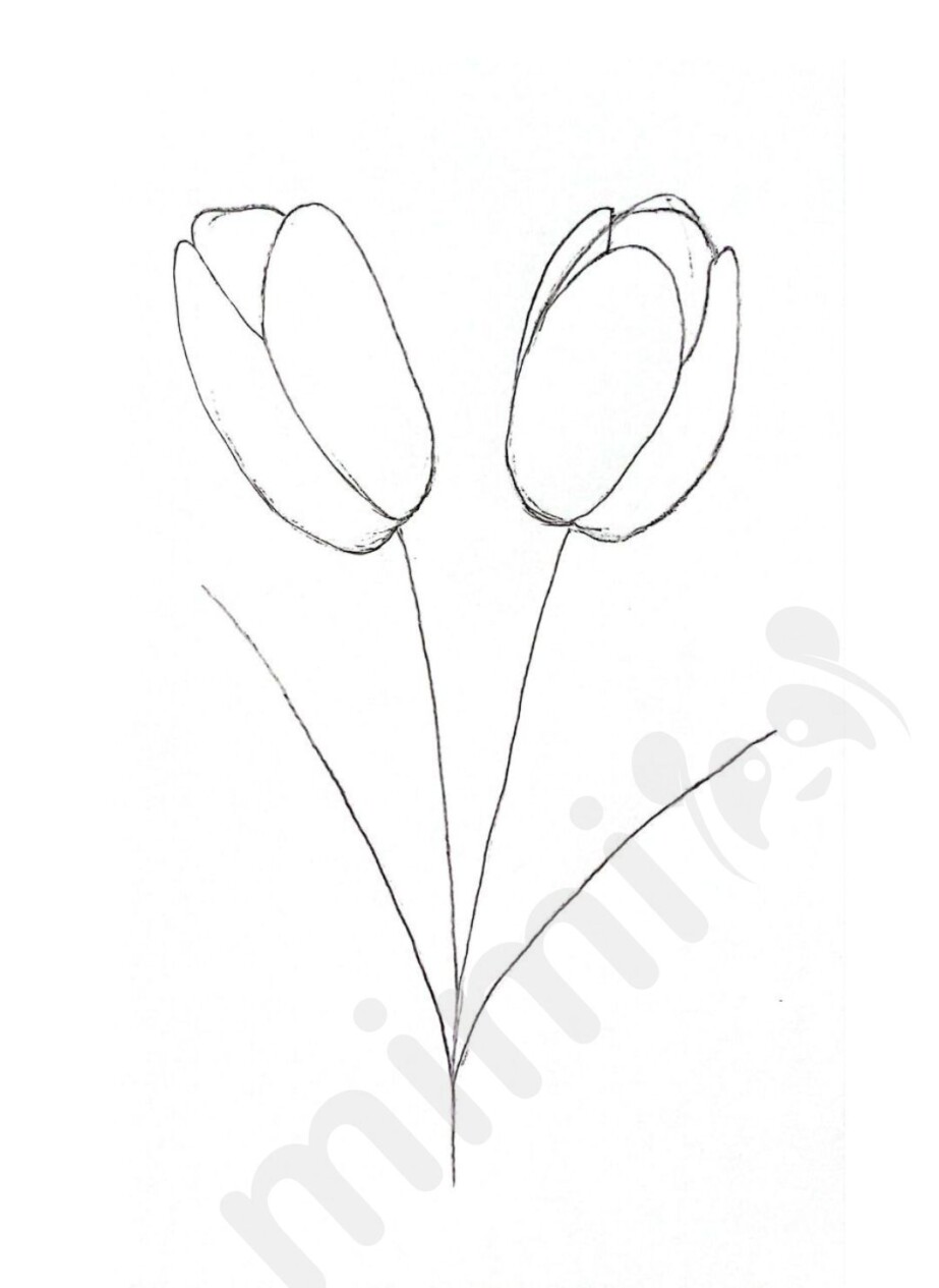 Tulip Drawing: Easy Step-by-Step Tutorial | Mimi Panda