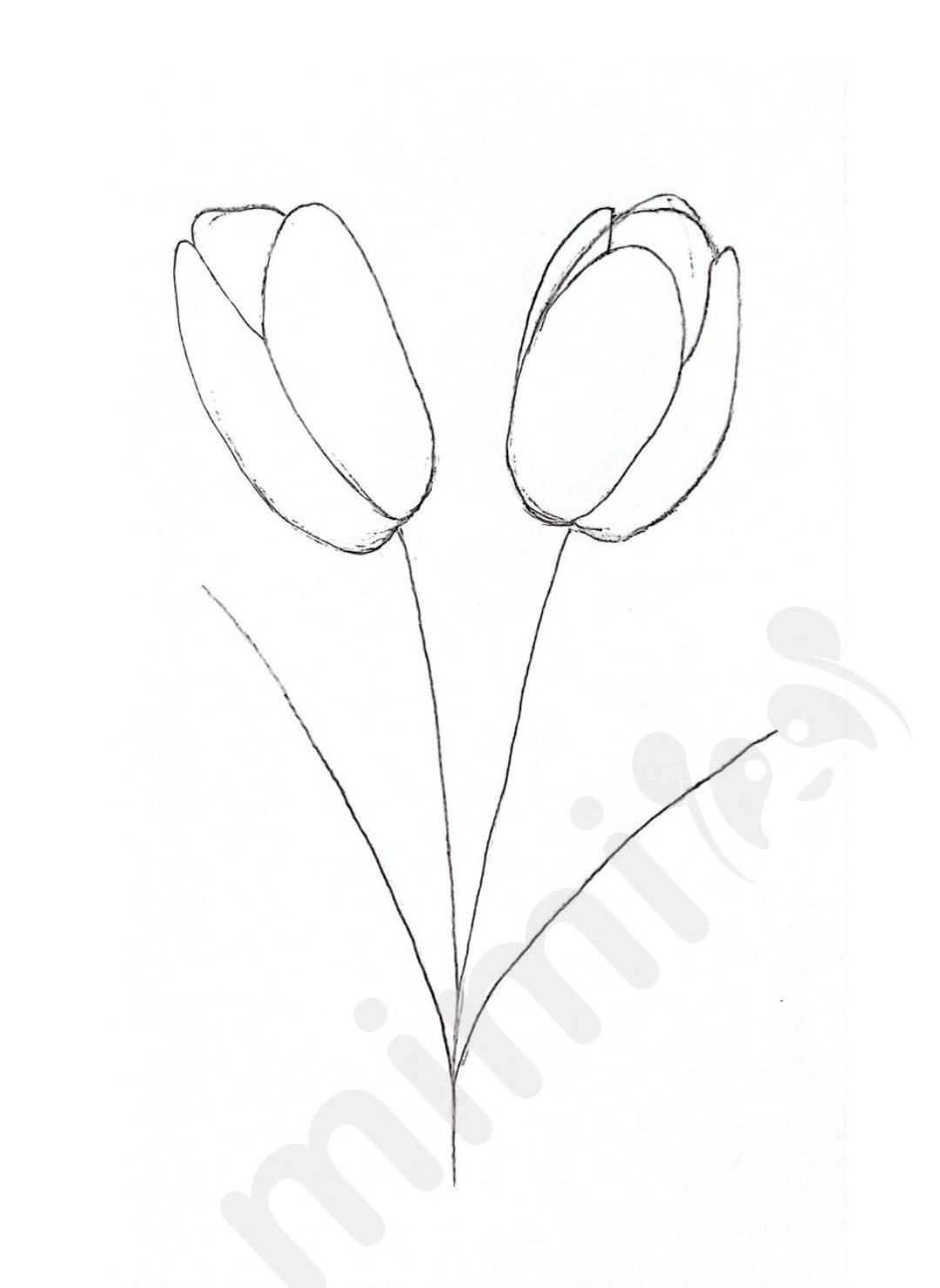 Tulip Drawing: Easy Step-by-Step Tutorial | Mimi Panda