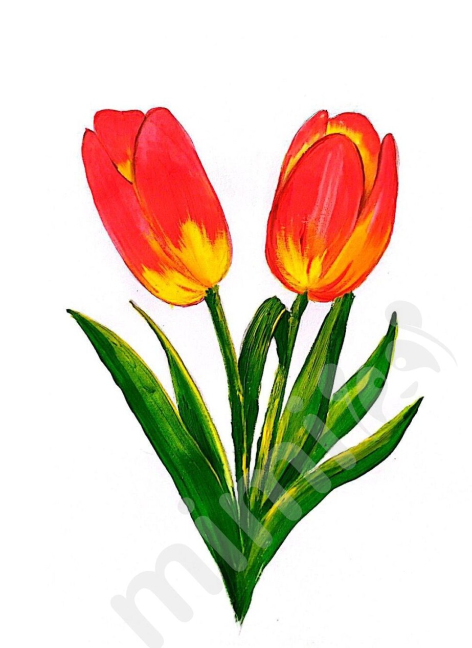 Tulip Drawing: Easy Step-by-Step Tutorial | Mimi Panda