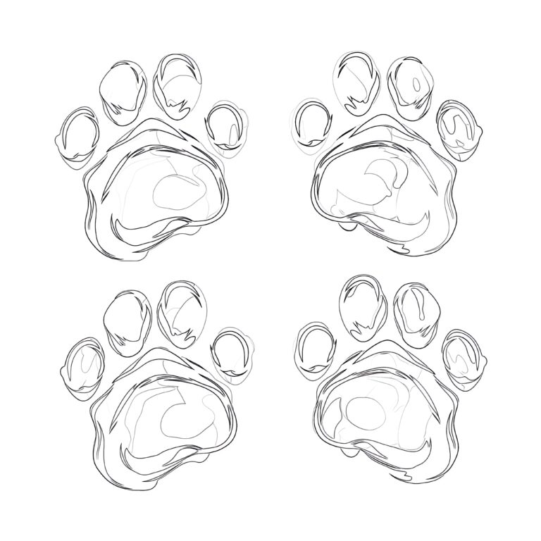 Different Cat Paws Coloring Page | Coloring Pages Mimi Panda