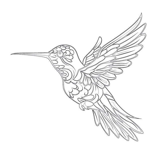 Colorear en línea - Colibrí Página Para Colorear | Coloring Pages Mimi ...