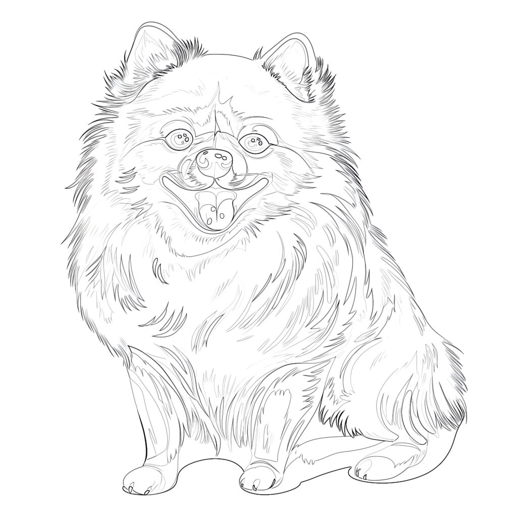 Pomeranian Dog Coloring Page | Coloring Pages Mimi Panda