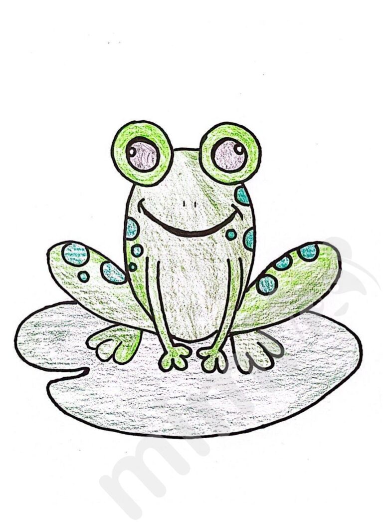 Frog Drawing: How to Draw Easily | Mimi Panda