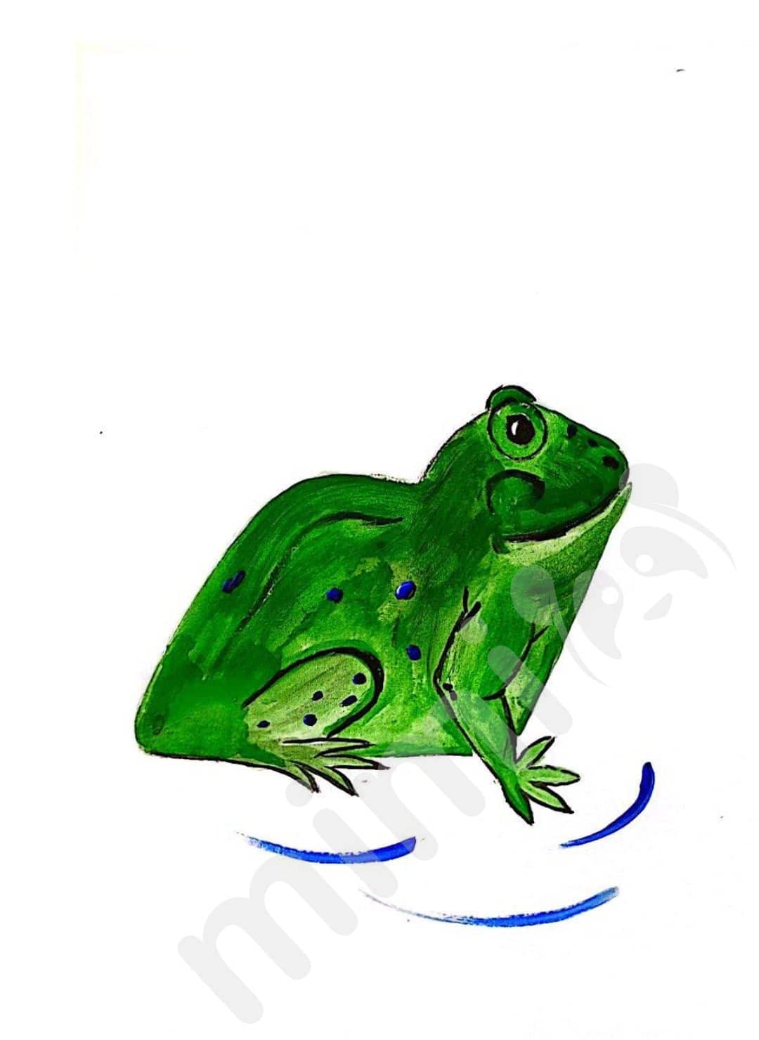 Frog Drawing: How to Draw Easily | Mimi Panda