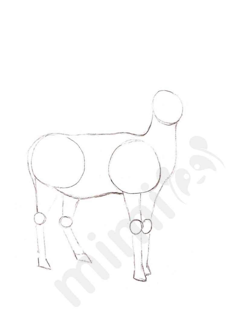 Deer Drawing: Step-by-Step Tutorial | Mimi Panda
