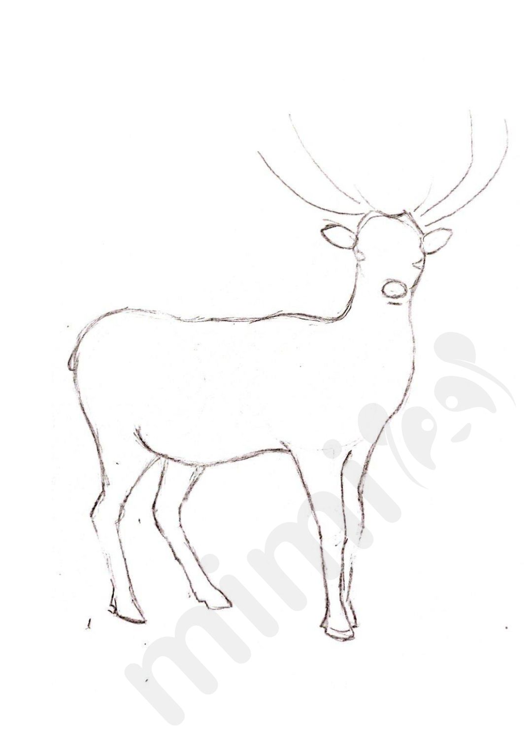 Deer Drawing: Step-by-Step Tutorial | Mimi Panda
