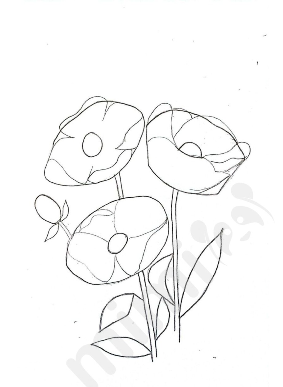 Flower Drawing: Step-by-Step Tutorial | Mimi Panda