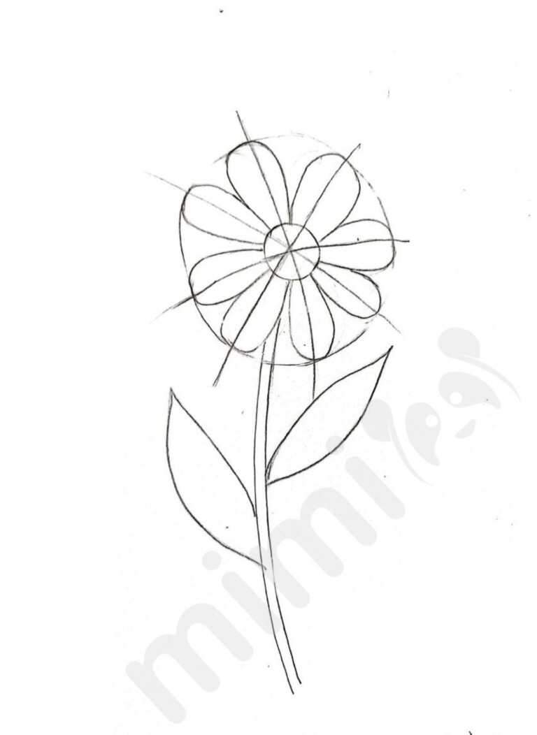Flower Drawing: Step-by-Step Tutorial | Mimi Panda