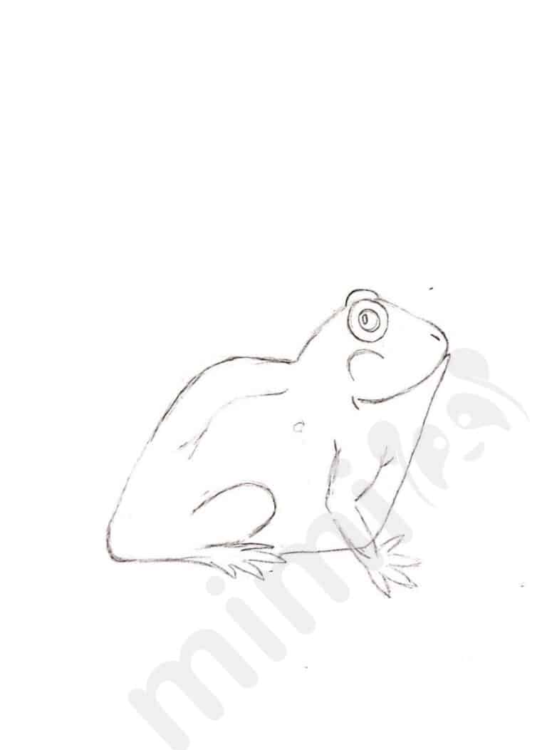 Dibujo De Rana: Cómo Dibujar Fácilmente | Mimi Panda