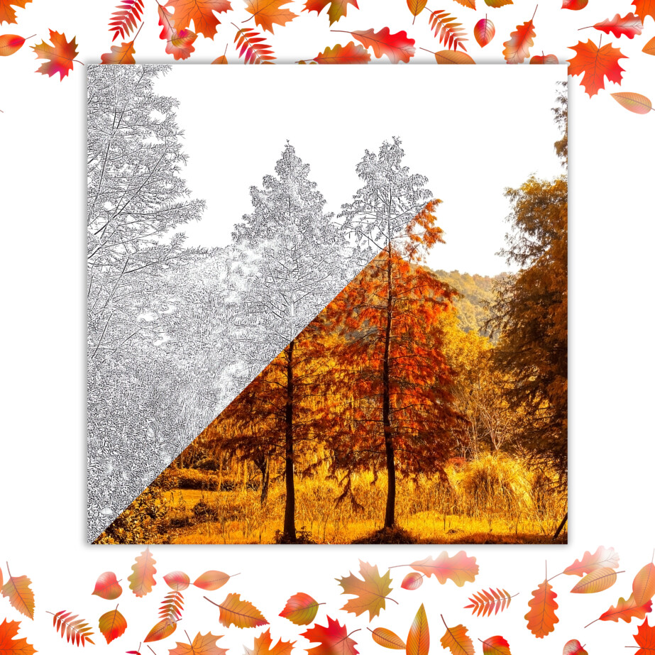 Autumn Coloring Pages | Mimi Panda