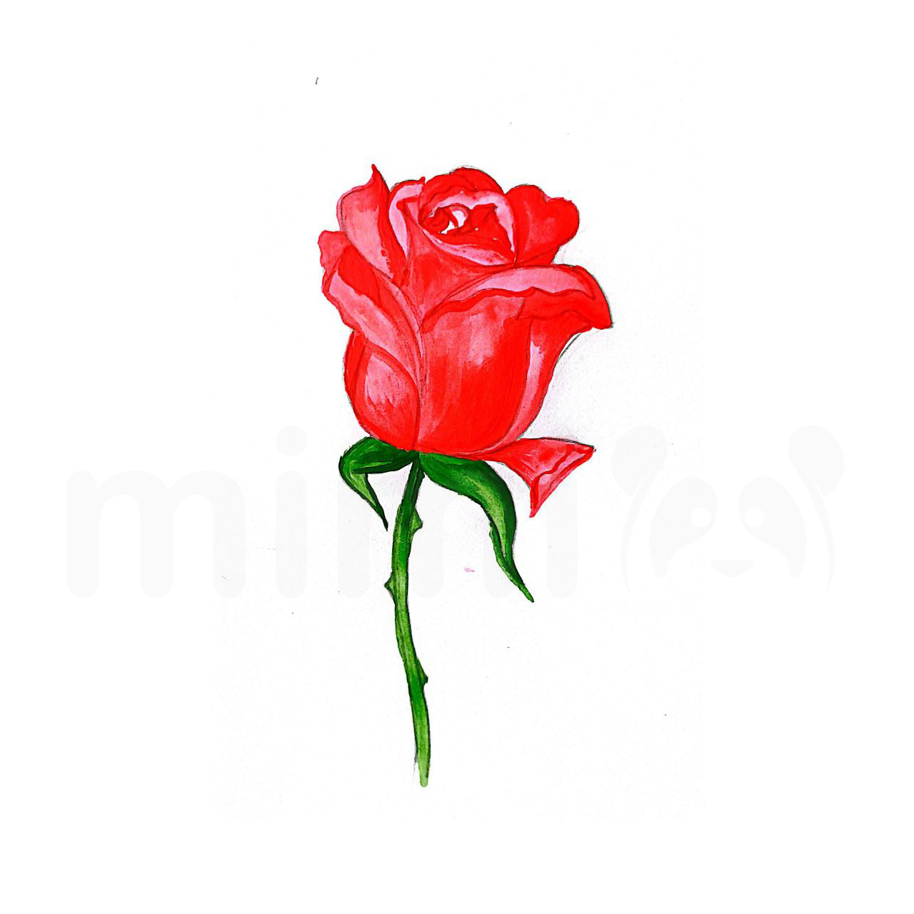 Rose Bud: How to Draw Easily | Mimi Panda
