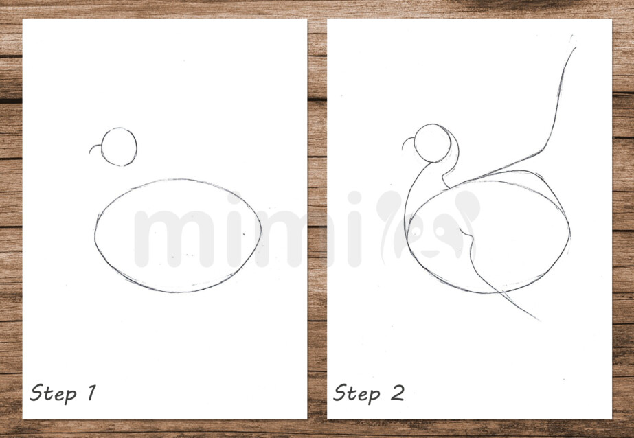 Turkey Drawing: How to Draw | Mimi Panda